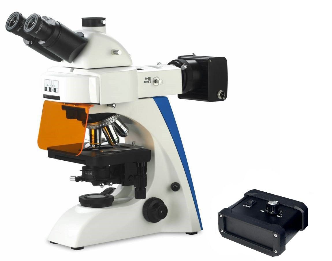 What is the best microscope to see bacteria?- Scopelab