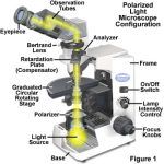 How Geologists Use Polarizing Microscopes to Identify Minerals ...
